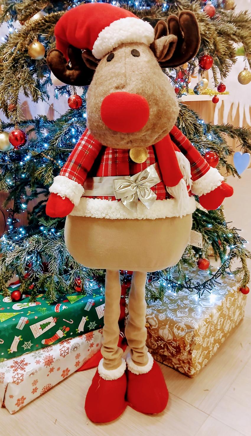 Le Père Noël a oublié Rudolph